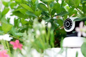 Home & Business Security | Bee Tee Alarms LTD